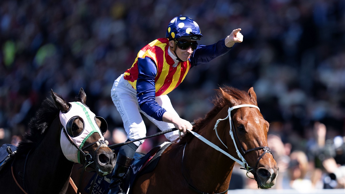 UK Tote extends Hong Kong Jockey Club partnership - Gaming Intelligence